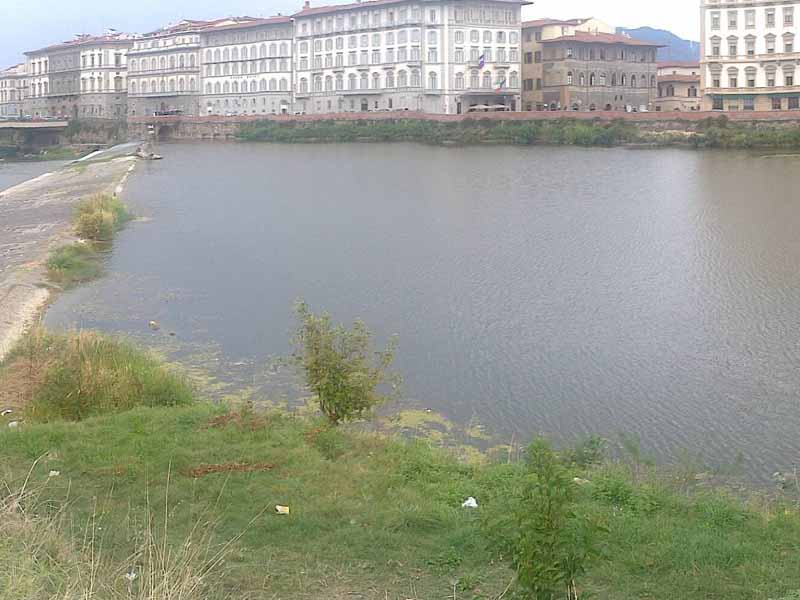 Pulire il Lungarno destro? Serve una scala