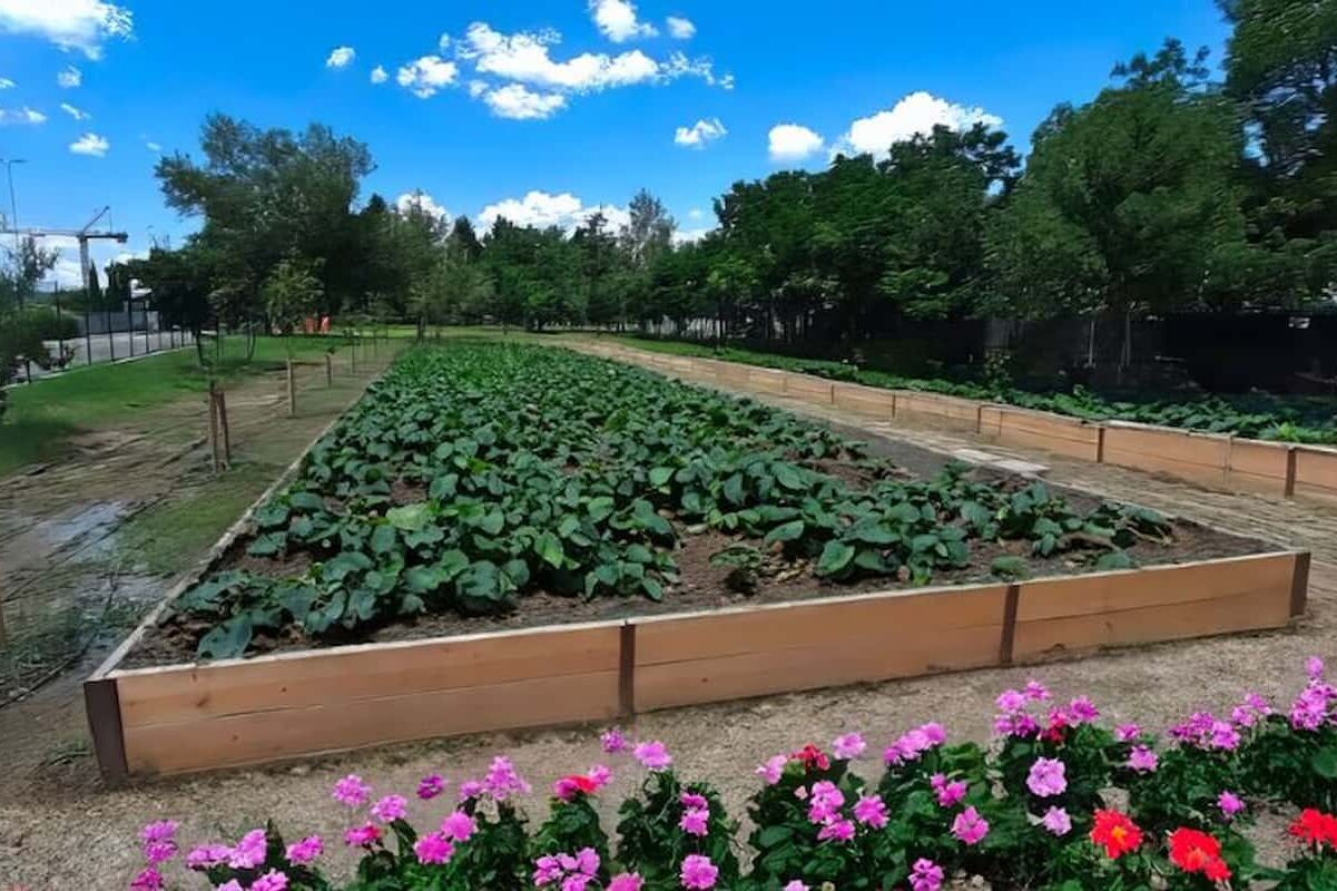 Nascono i primi 5 orti urbani di Firenze - Il Reporter